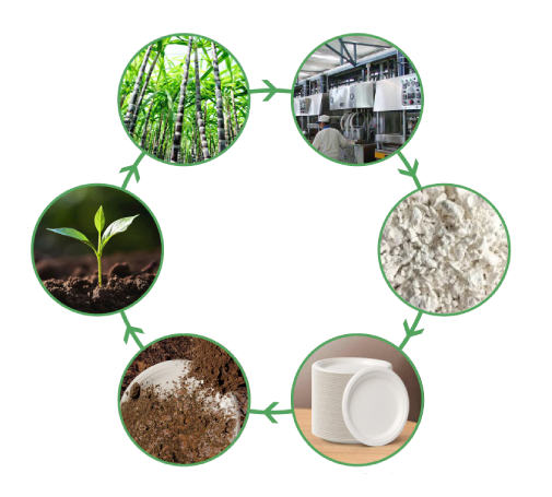 Eco-Friendly Disposable Plates Manufacturer in Kallimandayam | Natuserve